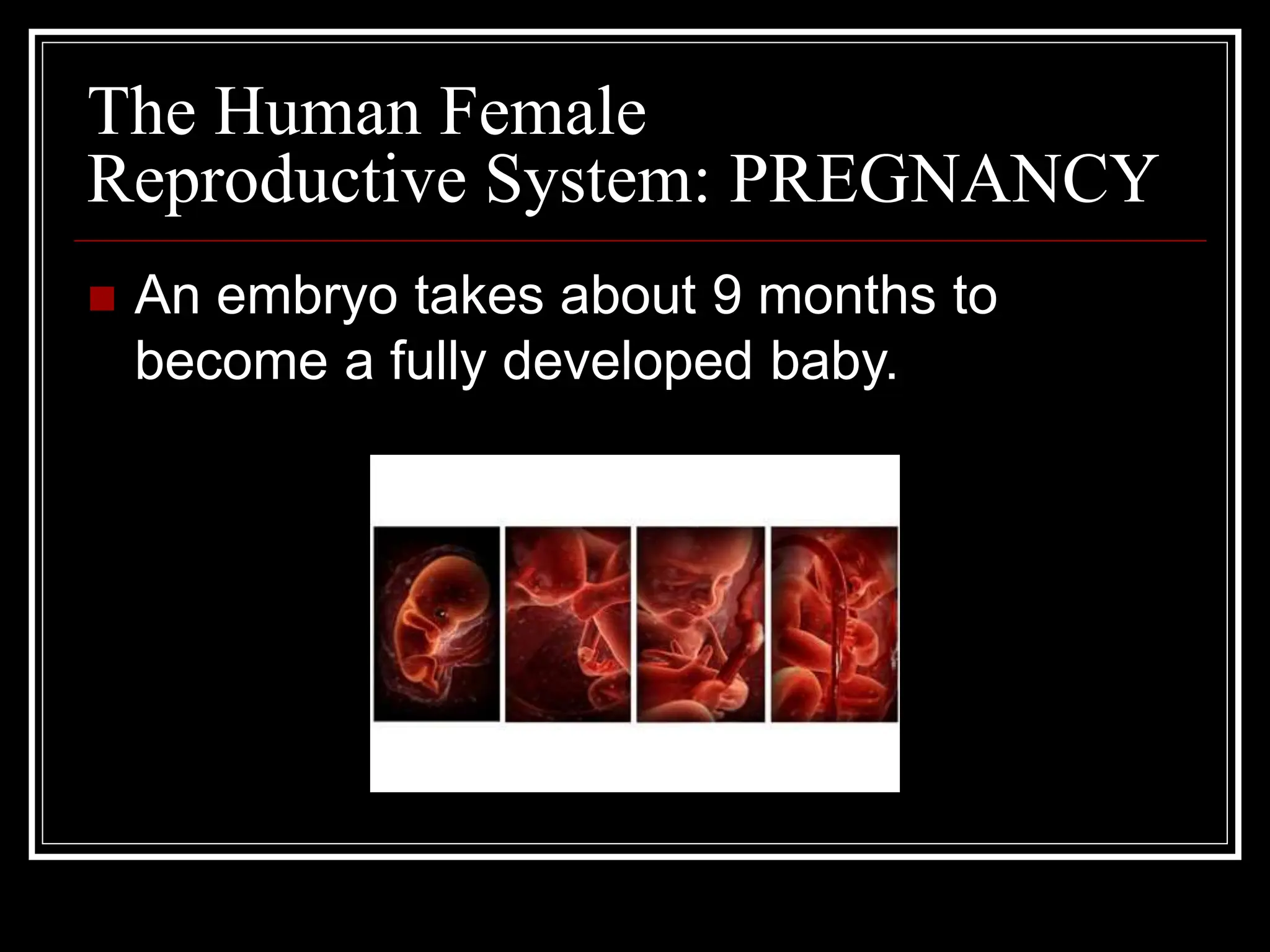 Human Reproduction.ppt