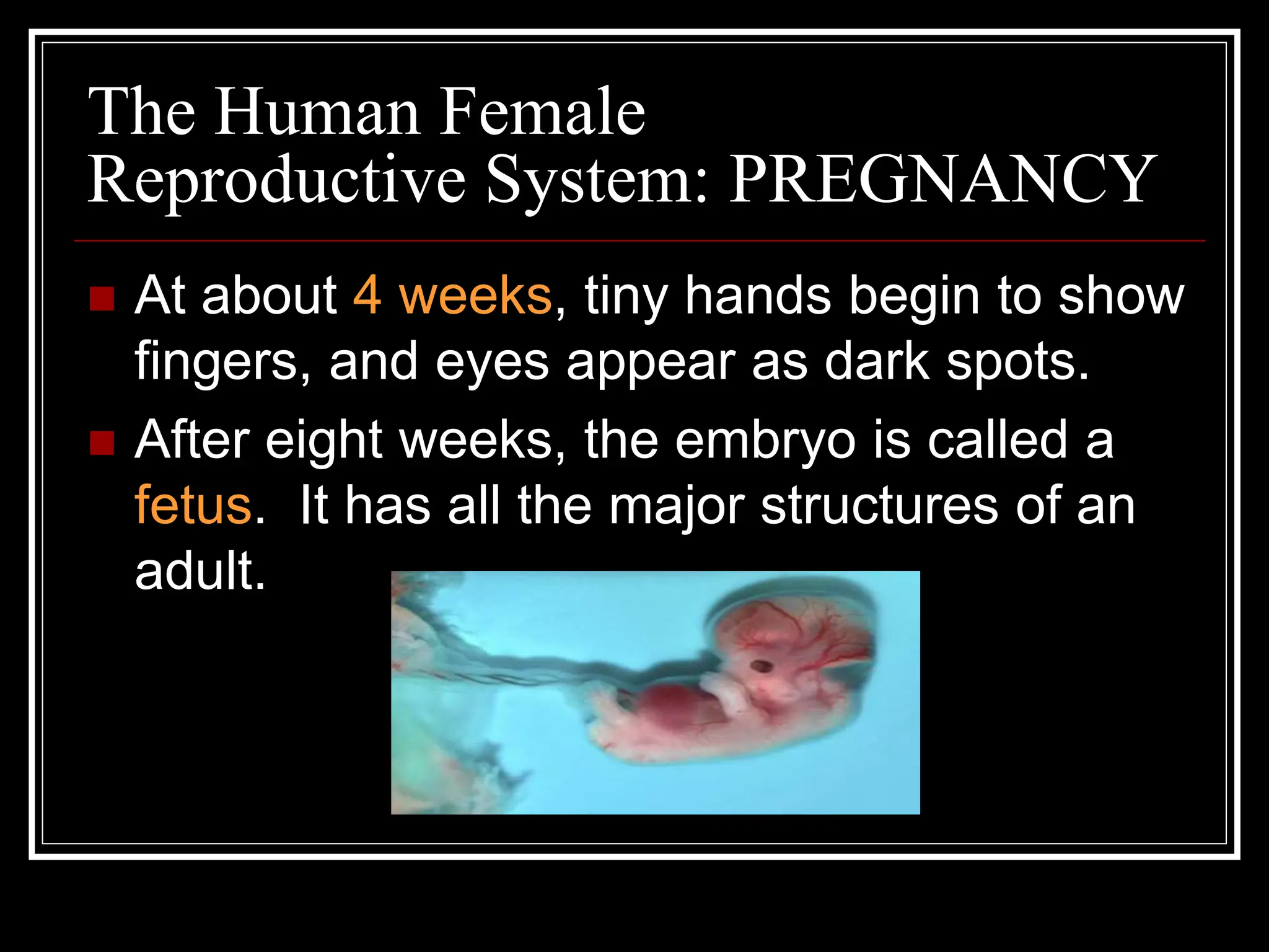 Human Reproduction.ppt