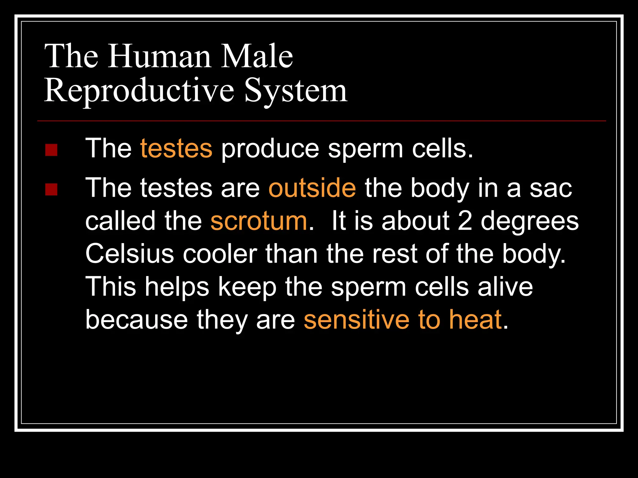 Human Reproduction.ppt