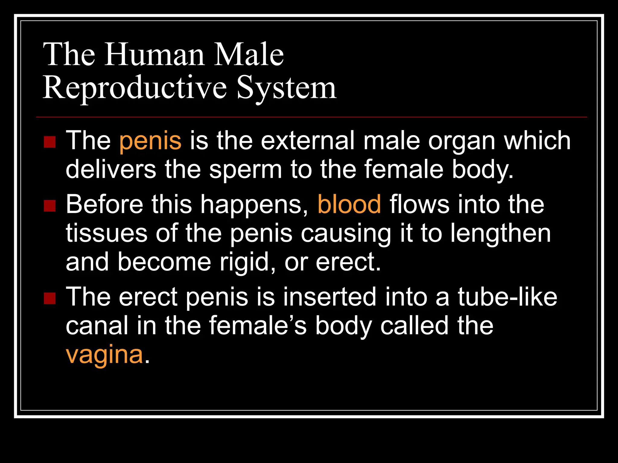 Human Reproduction.ppt