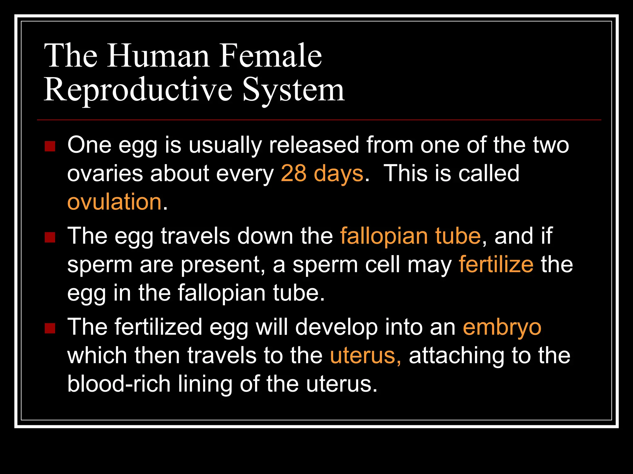 Human Reproduction.ppt