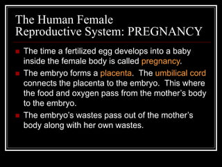 Human Reproduction.ppt