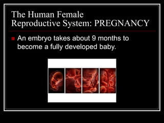 Human Reproduction.ppt
