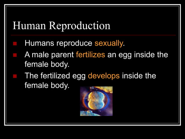 Human Reproduction.ppt