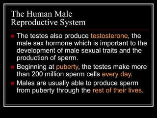 Human Reproduction.ppt