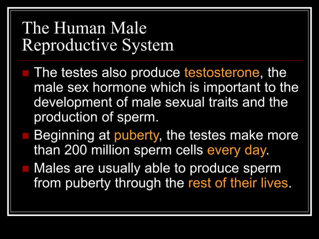 Human Reproduction.ppt