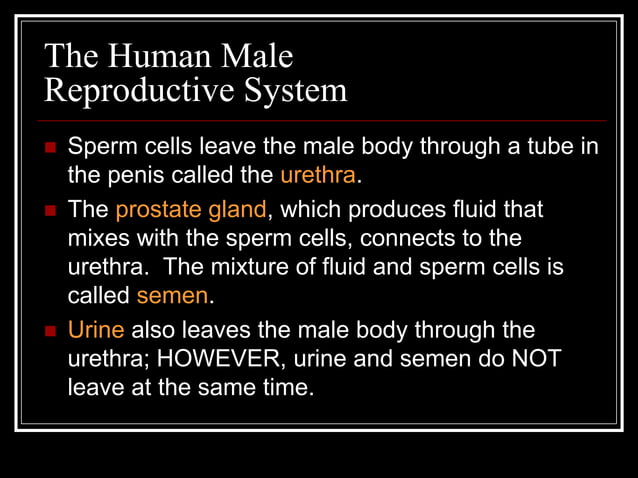 Human Reproduction.ppt