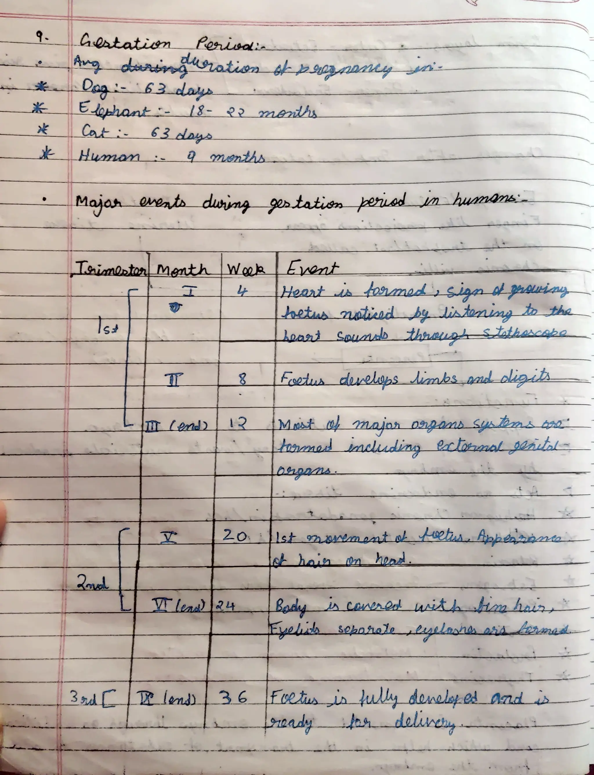 Human Reproduction.pdf