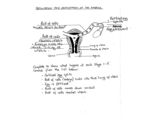 Human Reproduction of body systems ssssss | PPTX