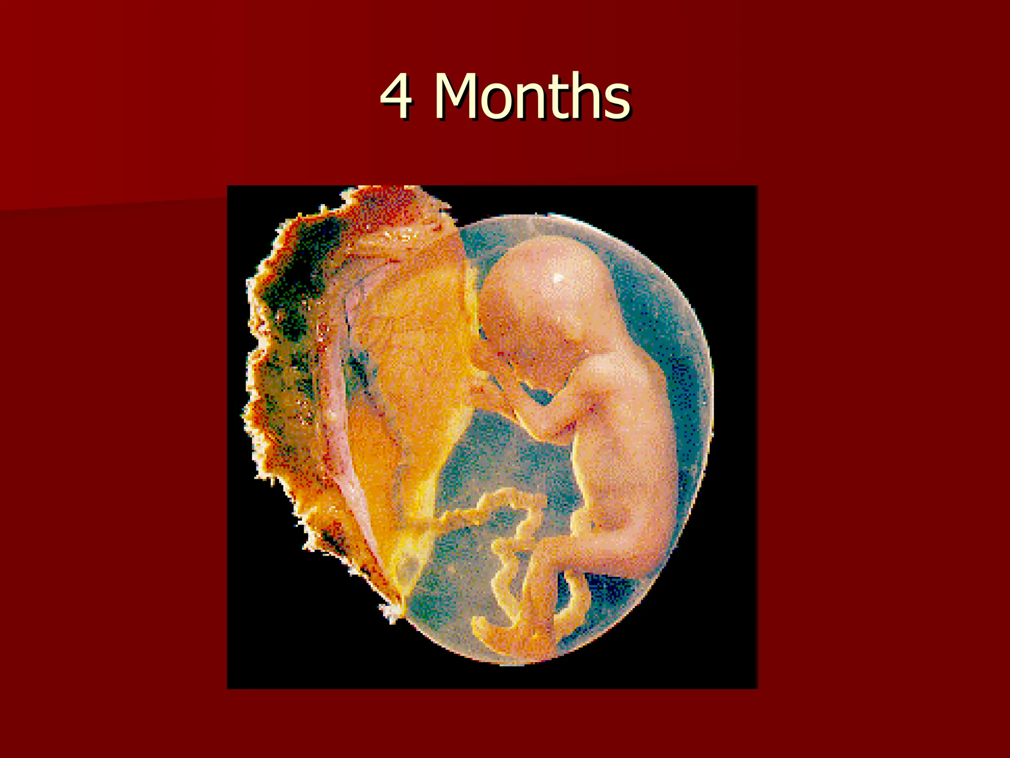 Human reproduction-and-development. Review.pdf