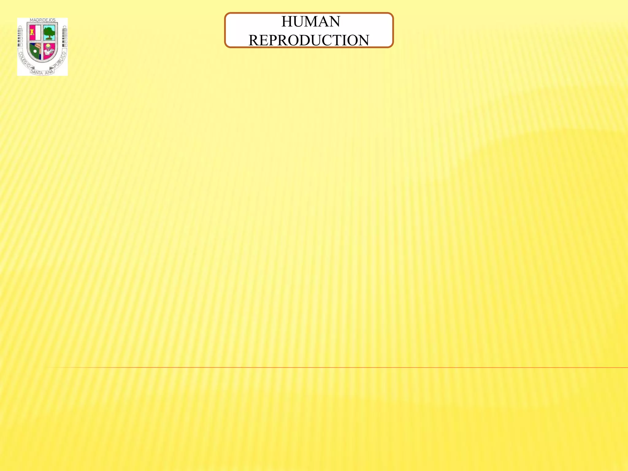 Human reproduction. diagram. english | PDF