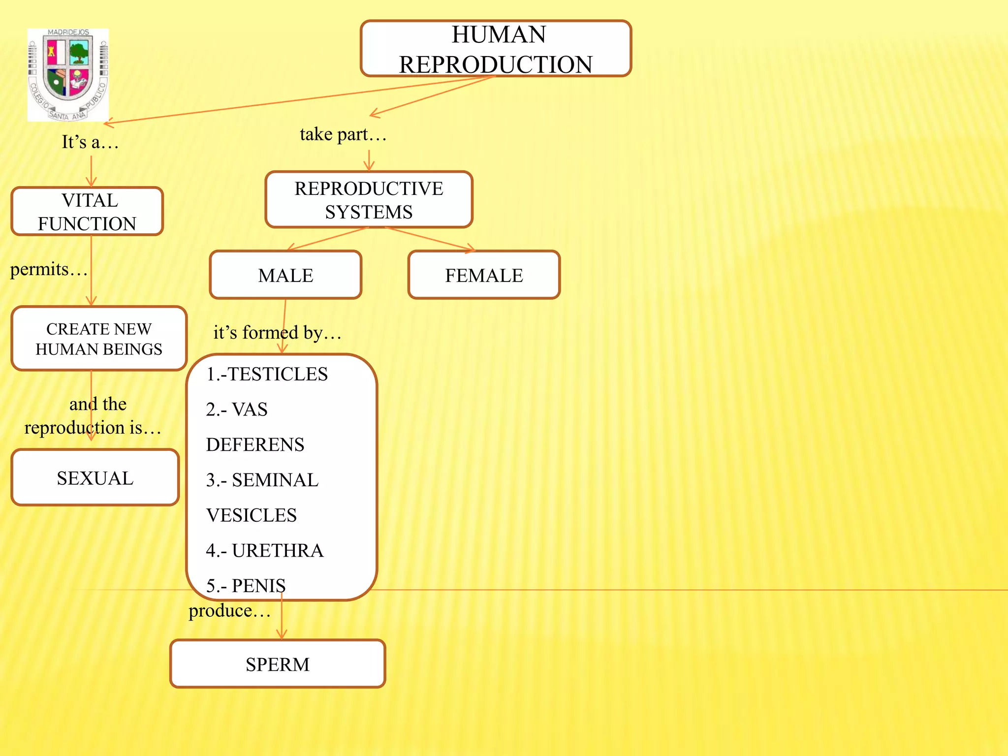 Human reproduction. diagram. english | PDF