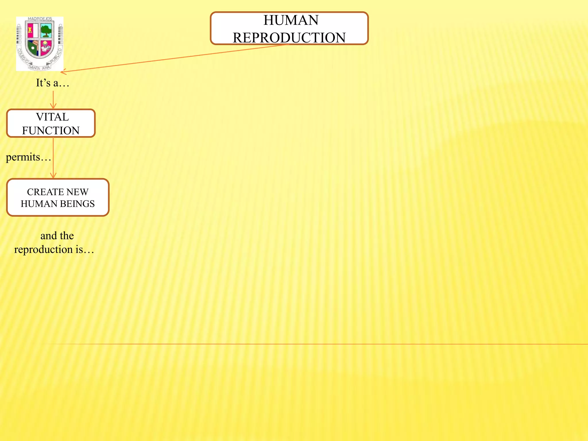 Human reproduction. diagram. english | PDF