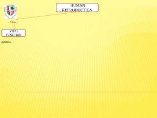 Human reproduction. diagram. english | PDF