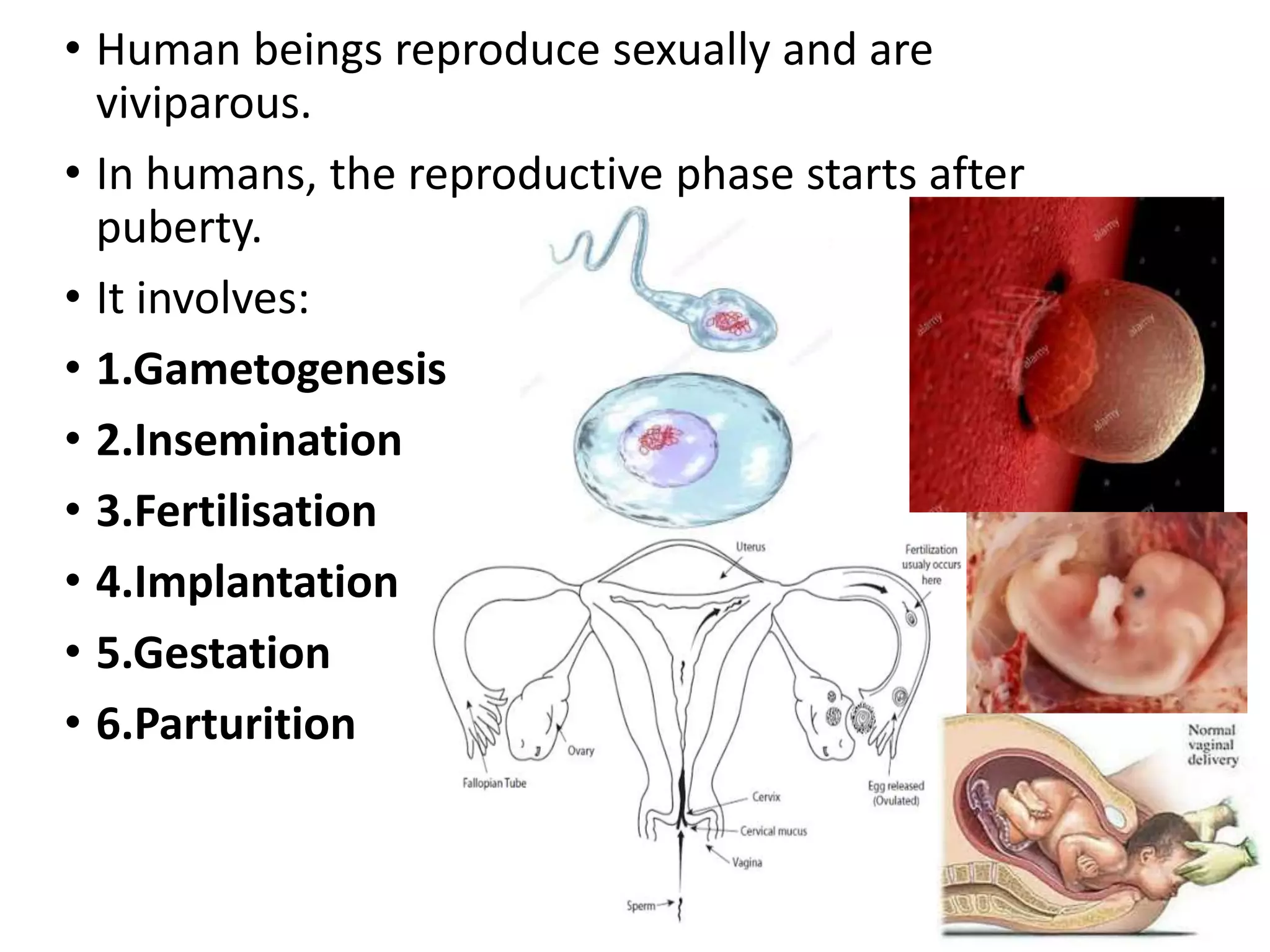 Human Reproduction | PPTX