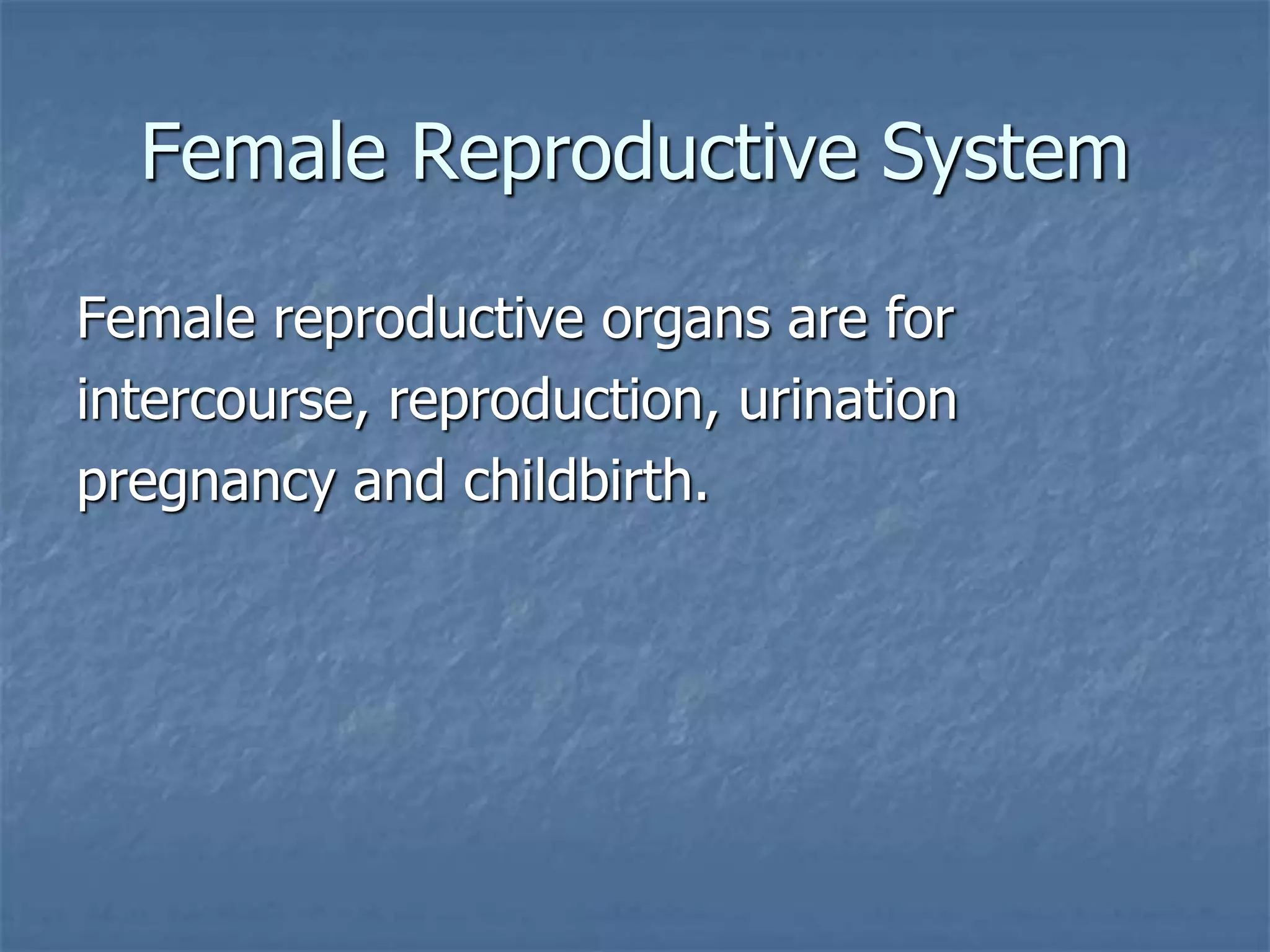 Human_Reproduction (1).ppt