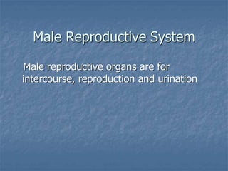 Human_Reproduction (1).ppt