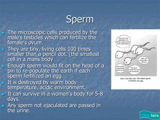 Human_Reproduction (1).ppt