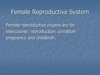 Human_Reproduction (1).ppt