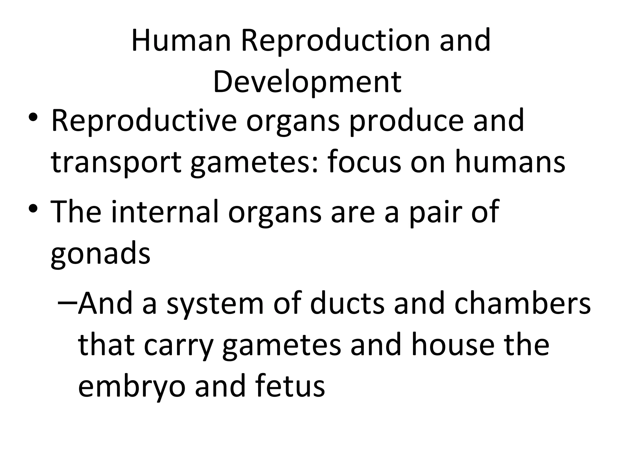 Human reproduction and development | PPT