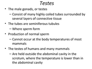 Human reproduction and development | PPT