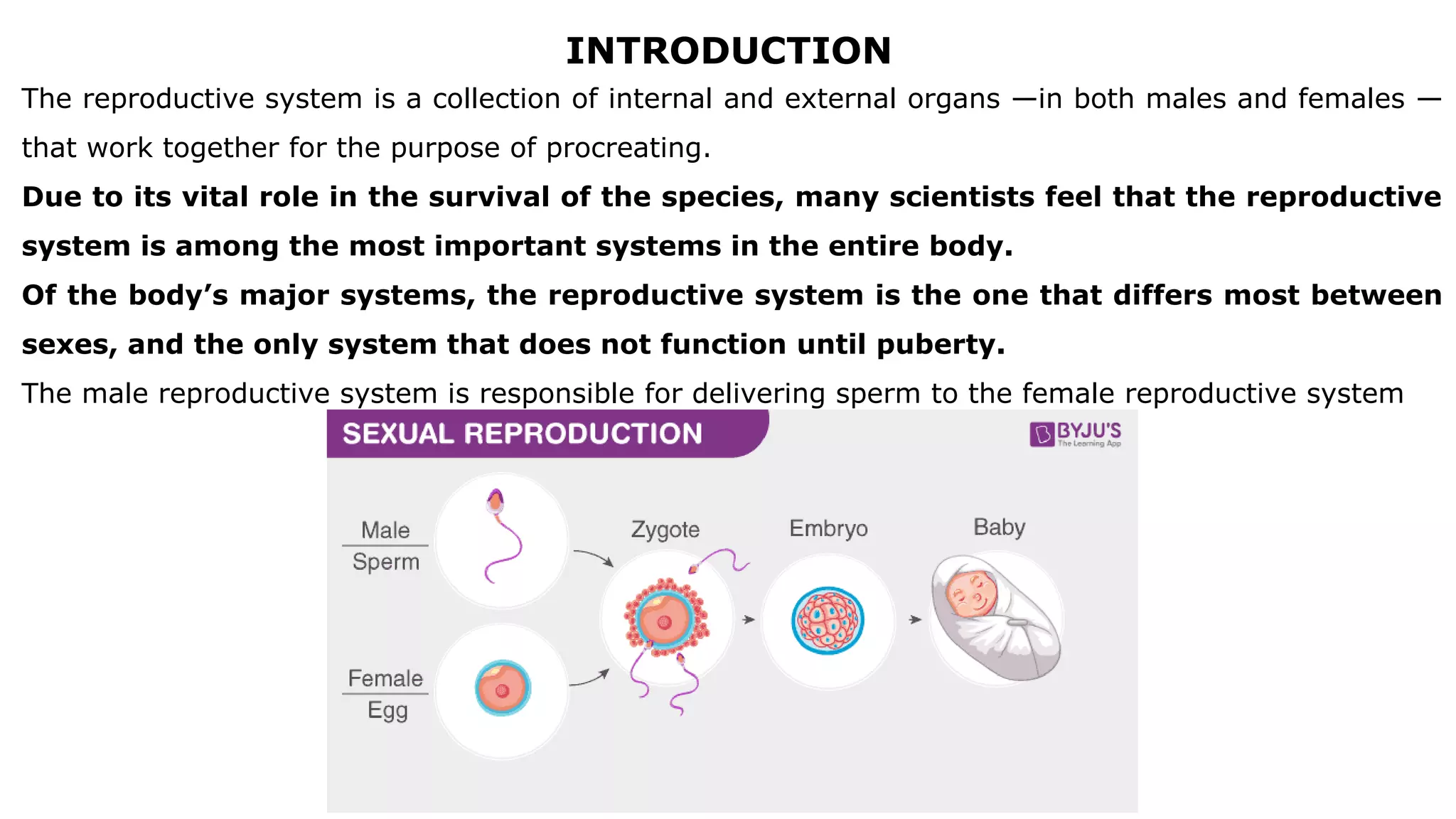 Human reproduction by BNP.pdf | Infertility | Reproductive Health