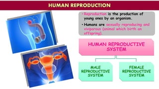 Human reproduction by BNP.pdf