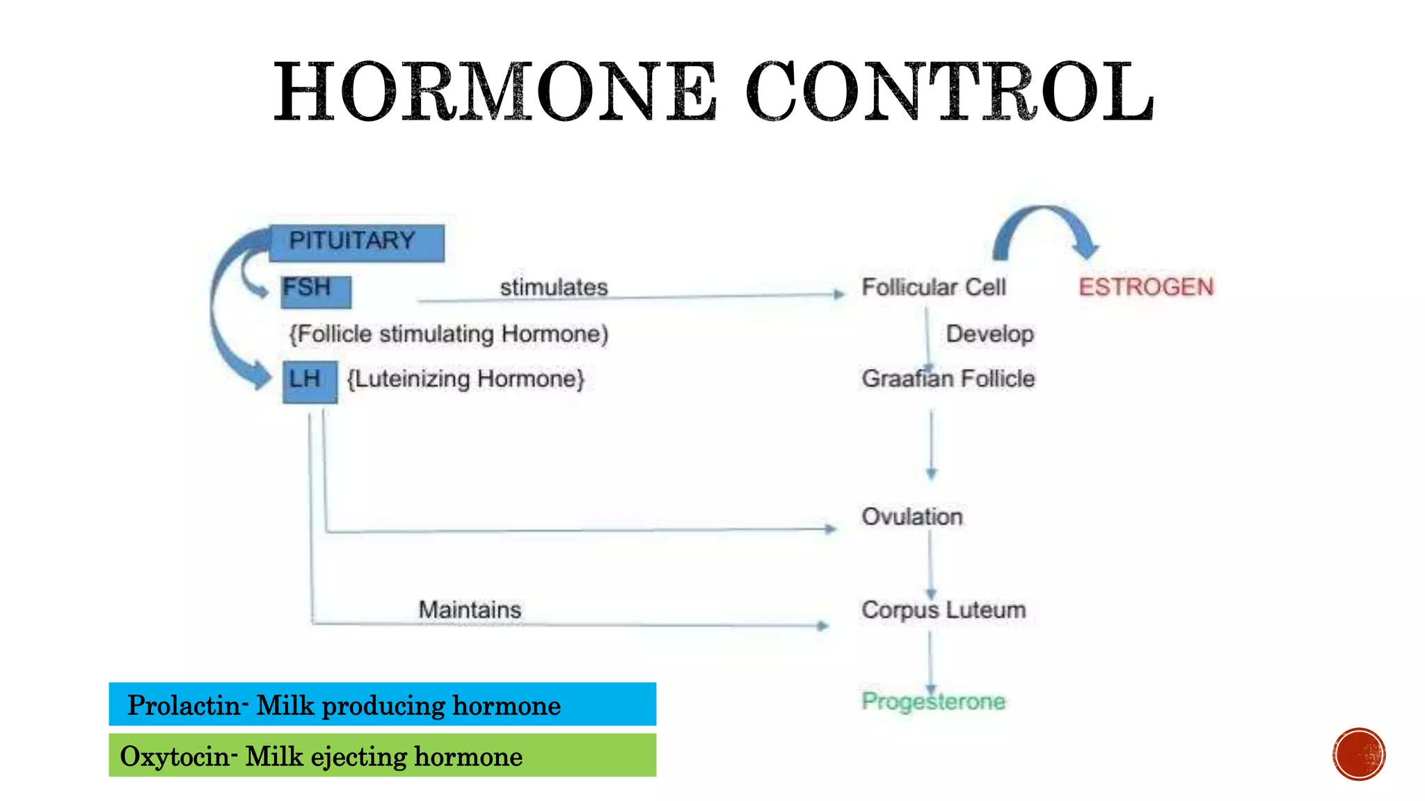 Human reproduction Complete Chapter | PPTX