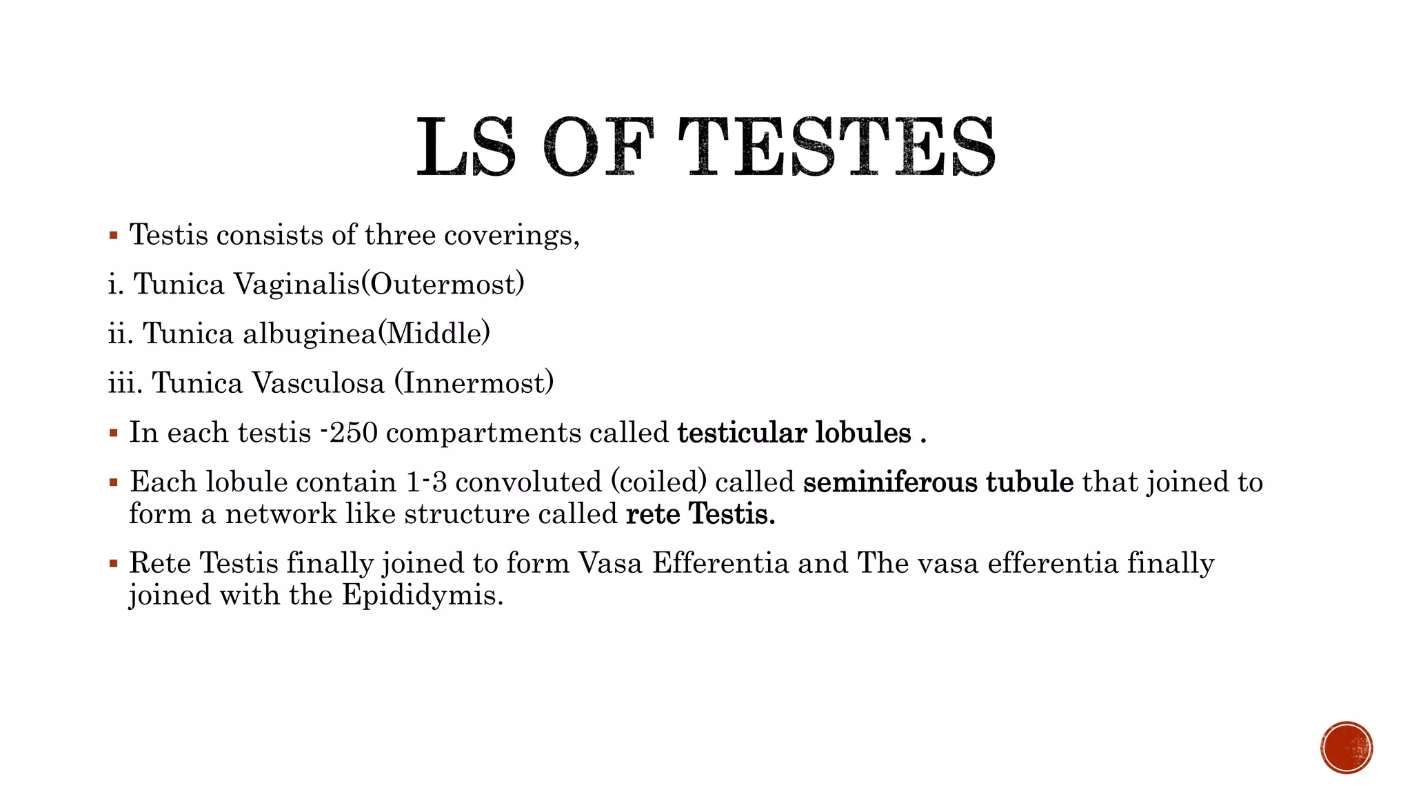 Human reproduction Complete Chapter | PPTX
