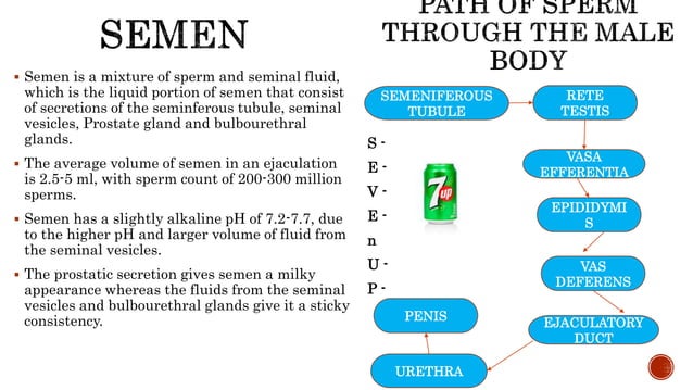 Human reproduction Complete Chapter | PPTX