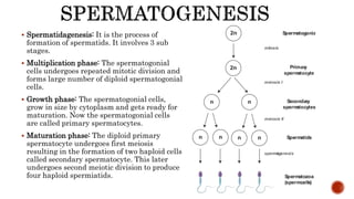 Human reproduction Complete Chapter | PPTX