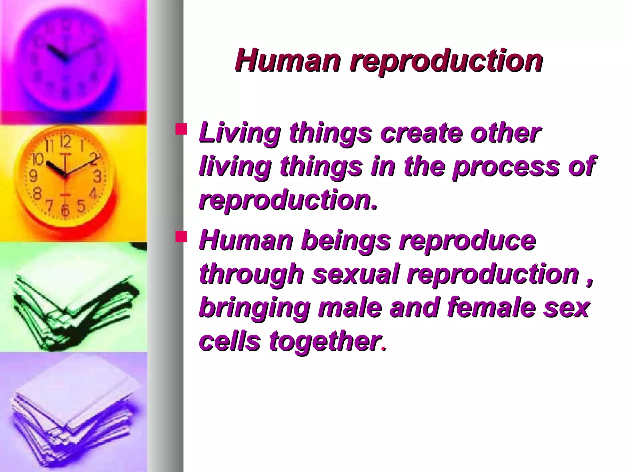 Human reproduction maria | PPT