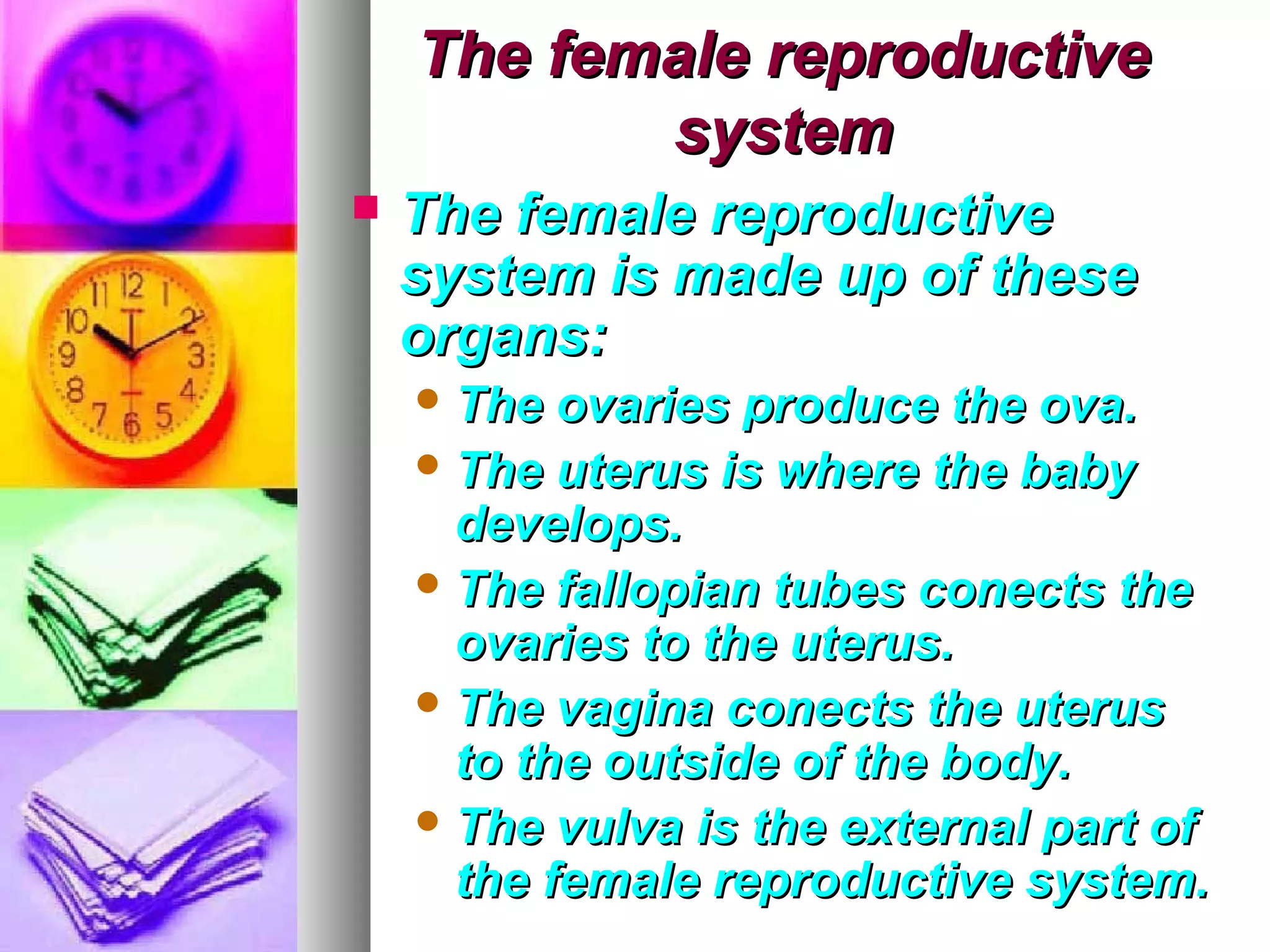 Human reproduction maria | PPT