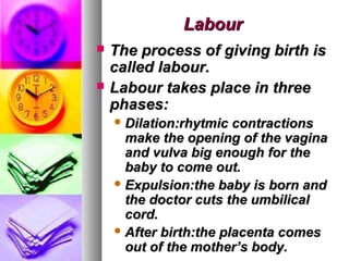 Human reproduction maria | PPT