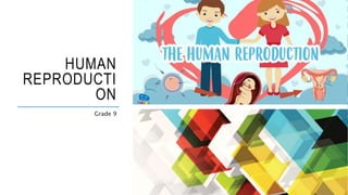 Human reproduction natural science | PPT