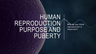 Human reproduction natural science | PPT