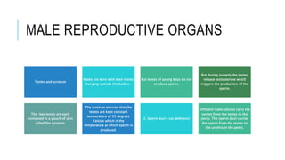 Human reproduction natural science | PPT