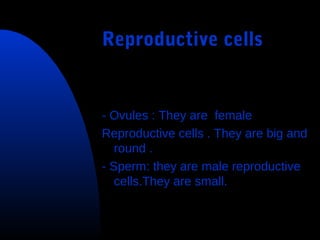 Human reproduction by Paula Crespo | PPT