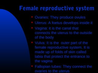 Human reproduction by Paula Crespo | PPT