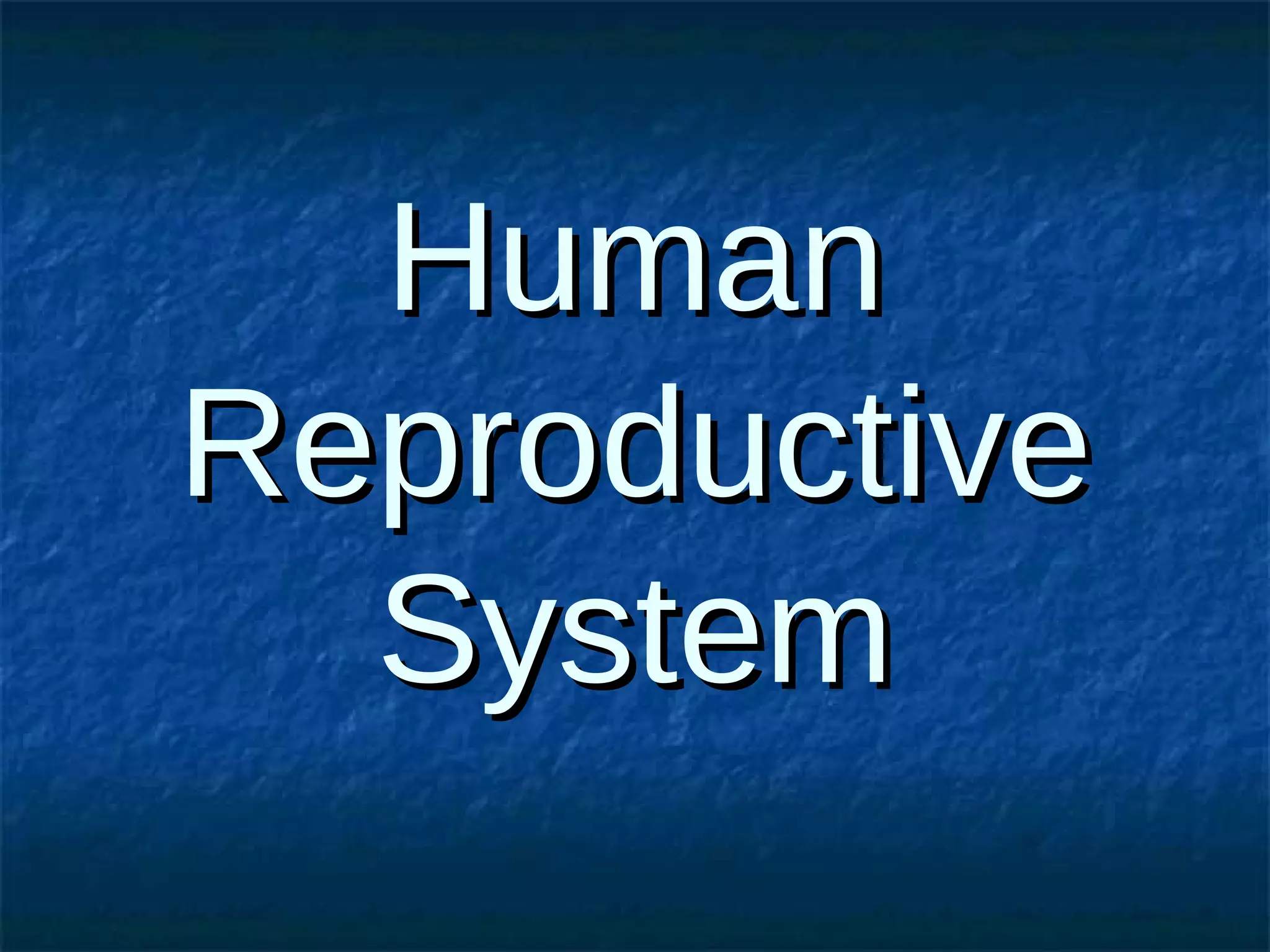 Human reproduction powerpoint | PPT