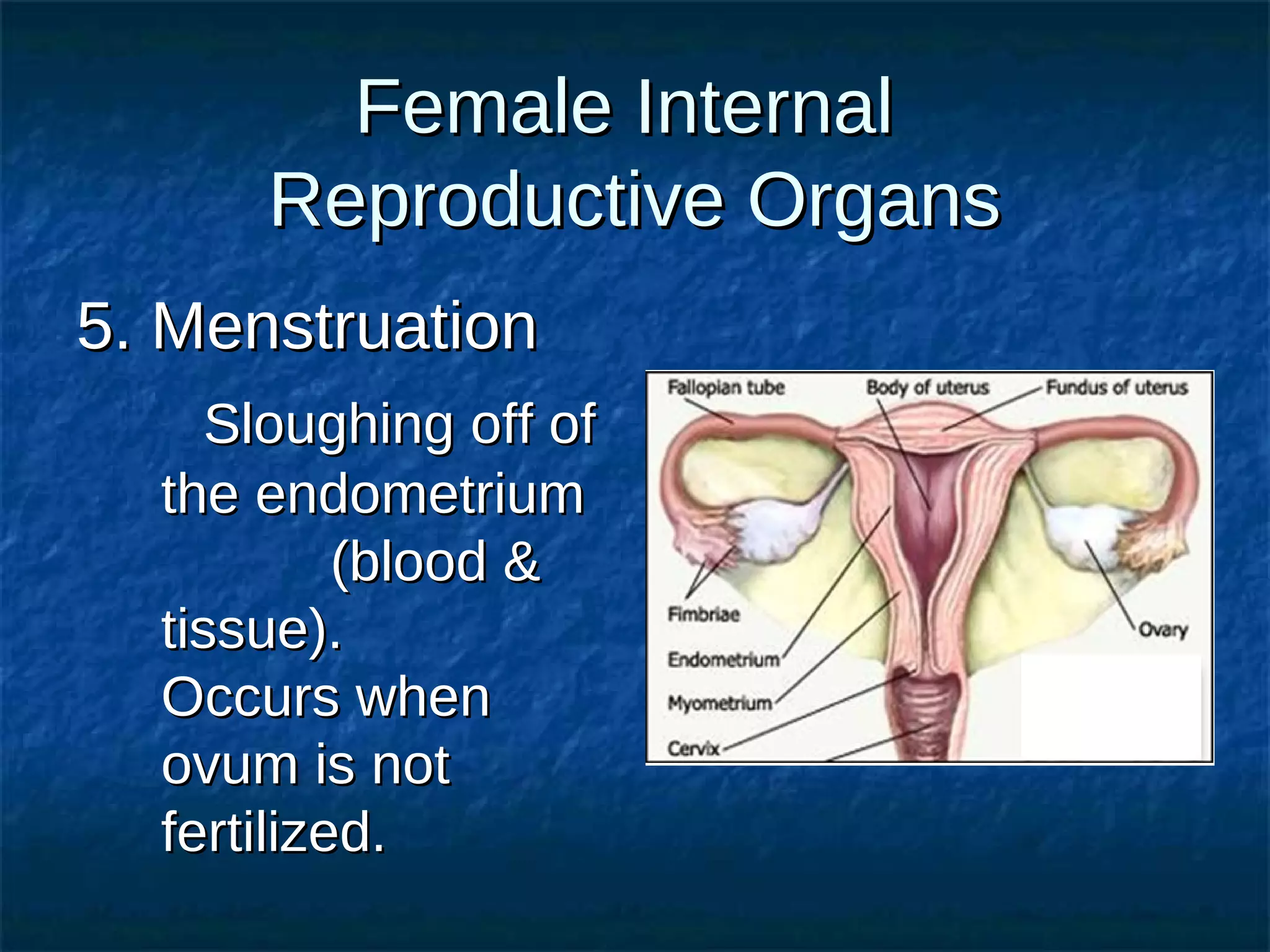 Human reproduction powerpoint | PPT