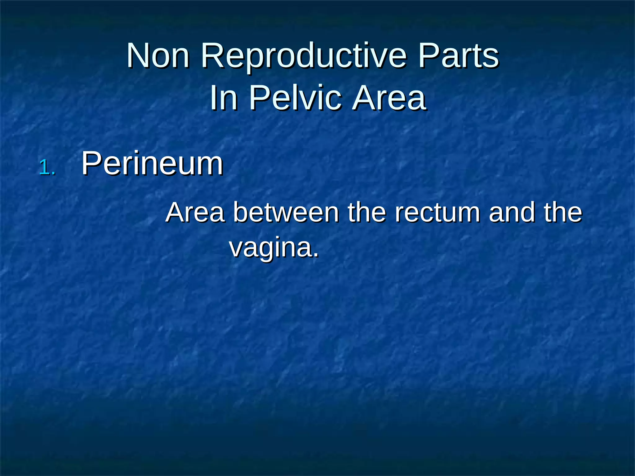 Human reproduction powerpoint | PPT