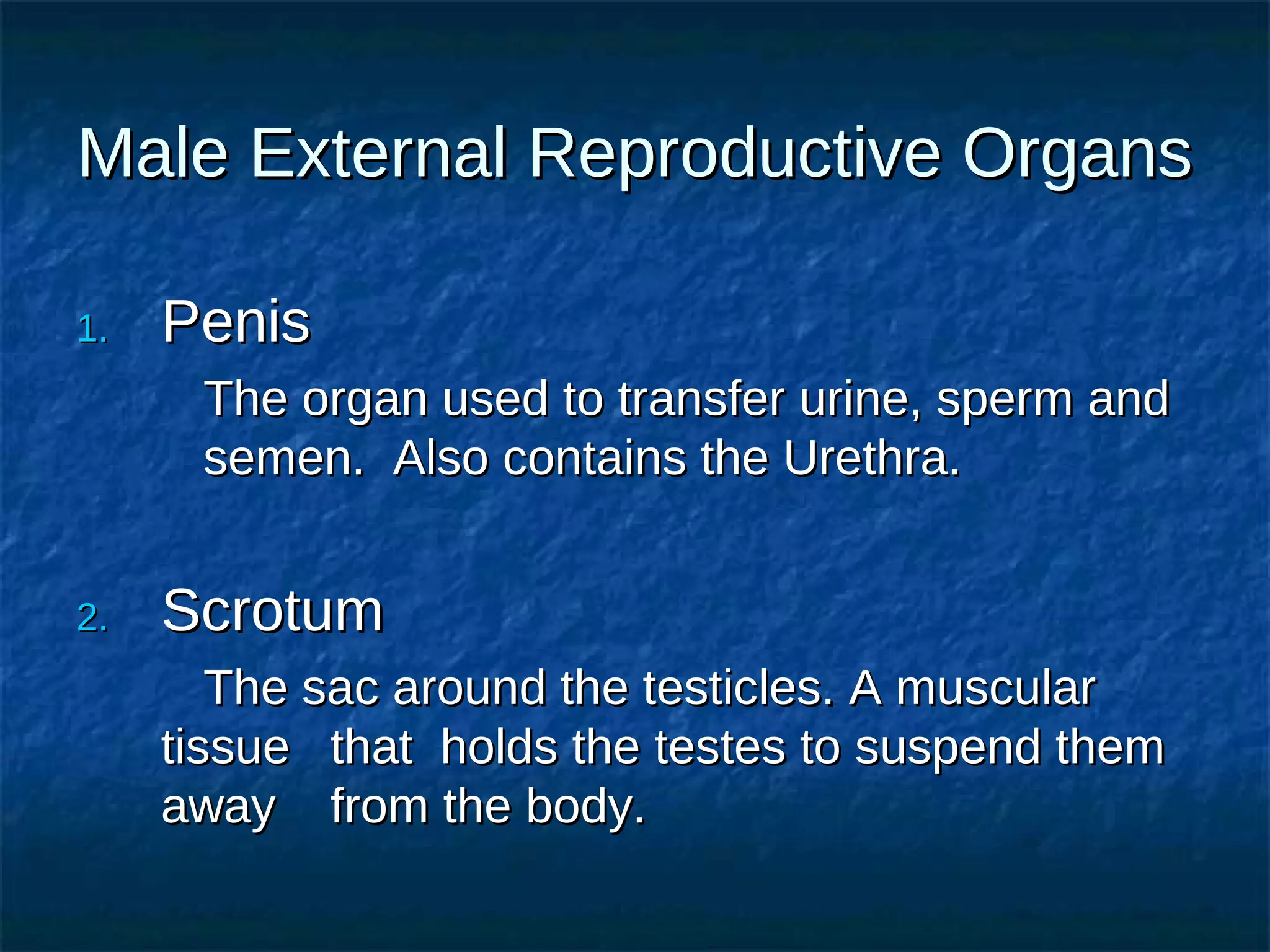 Human reproduction powerpoint | PPT