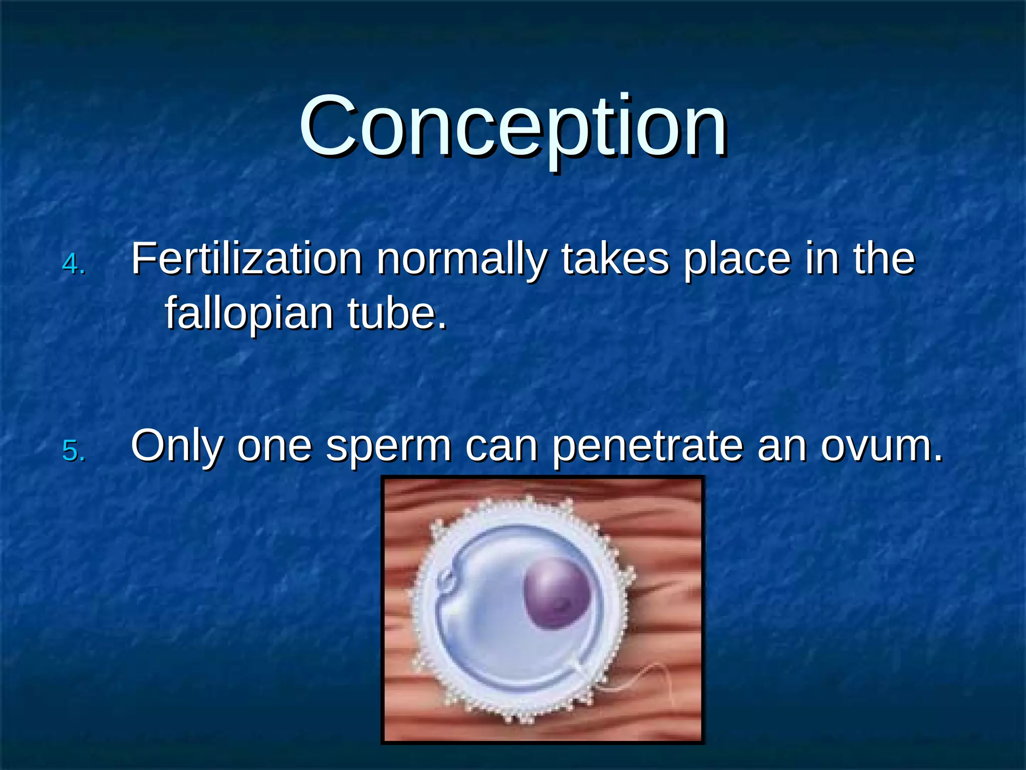 Human reproduction powerpoint | PPT