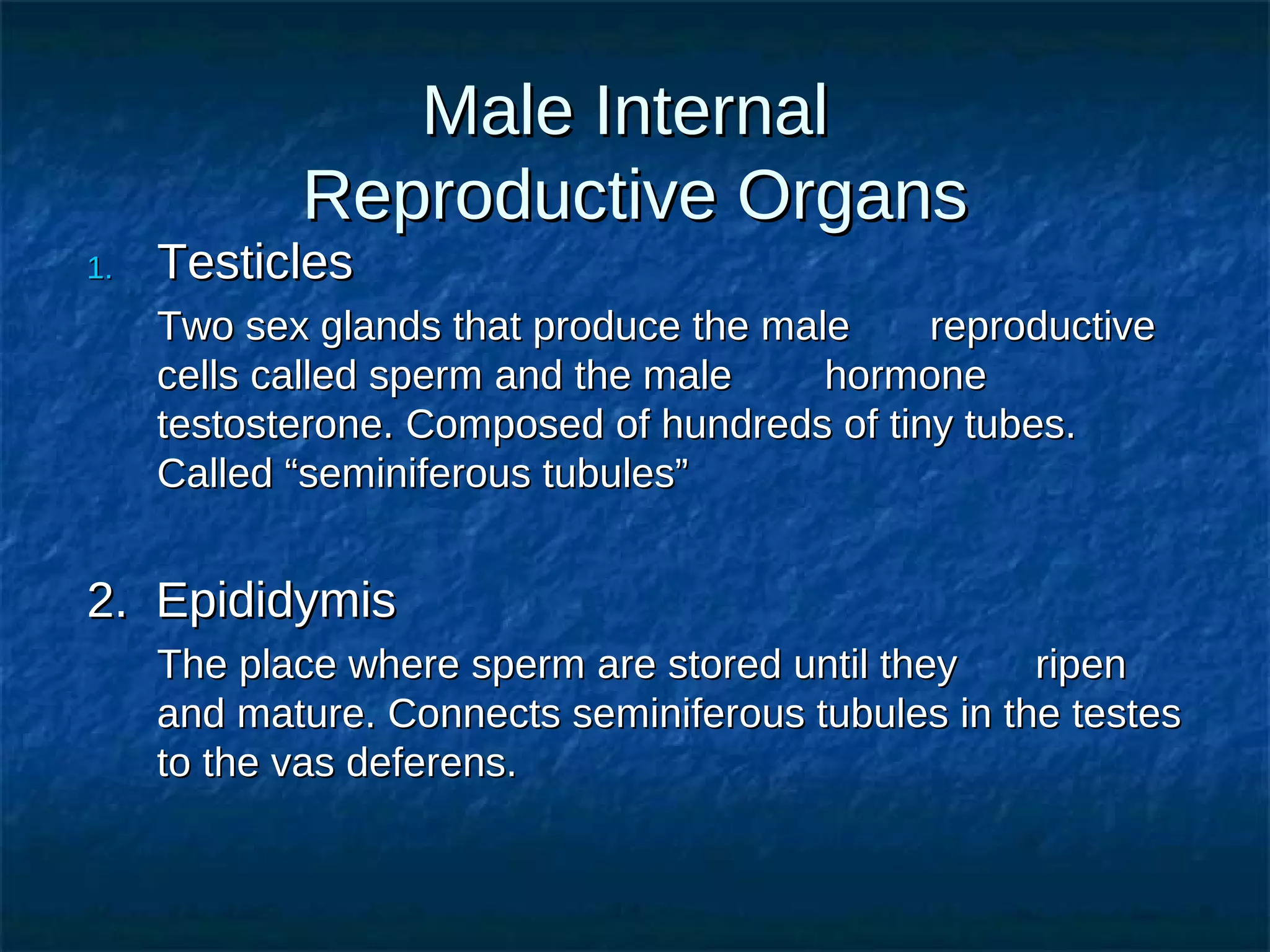 Human reproduction powerpoint | PPT
