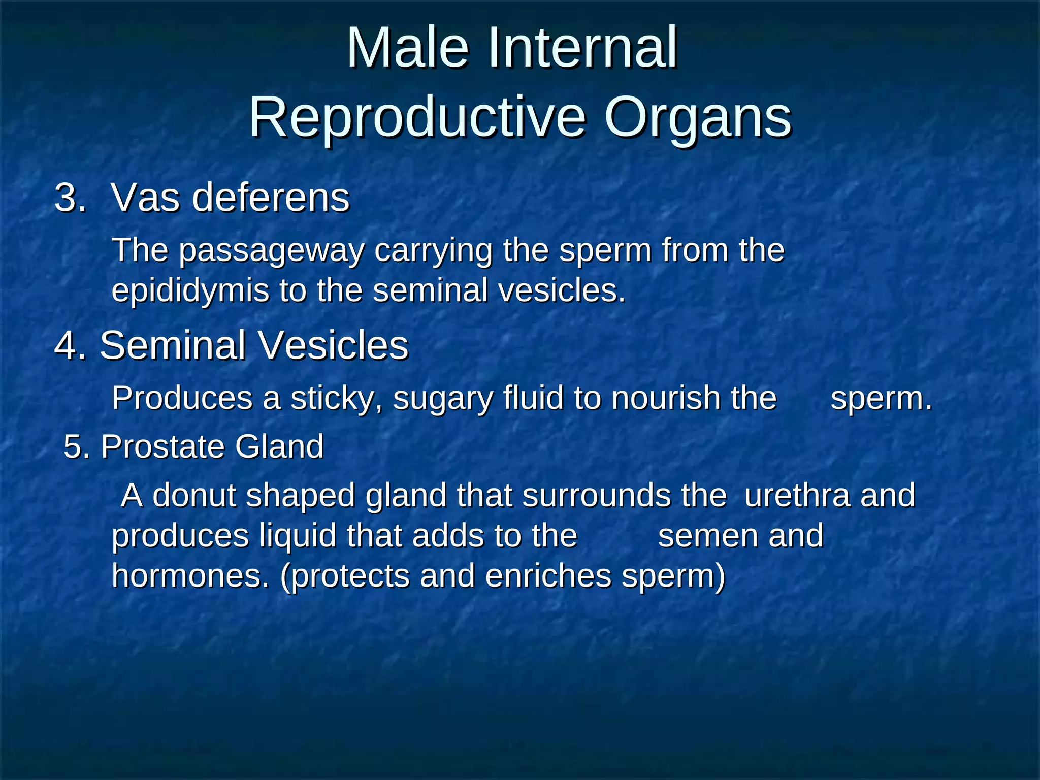 Human reproduction powerpoint | PPT
