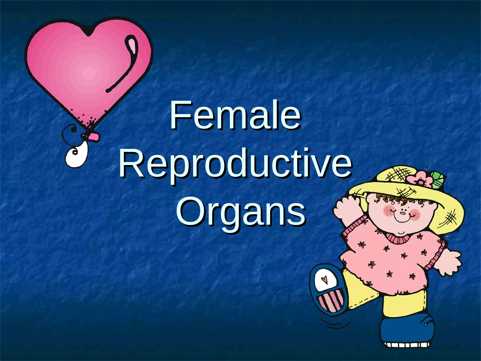 Human reproduction powerpoint | PPT