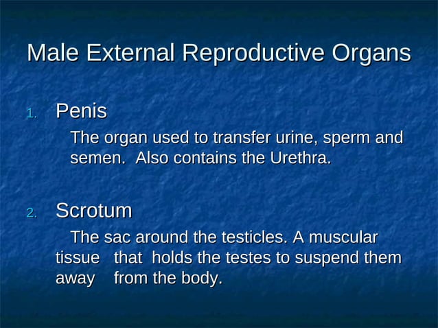 Human reproduction powerpoint | PPT | Infertility | Reproductive Health