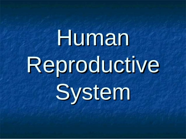 Human Reproduction Powerpoint