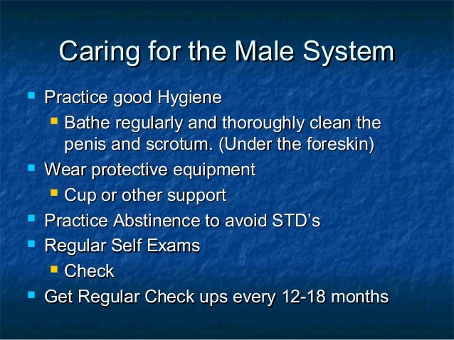 Human reproduction powerpoint